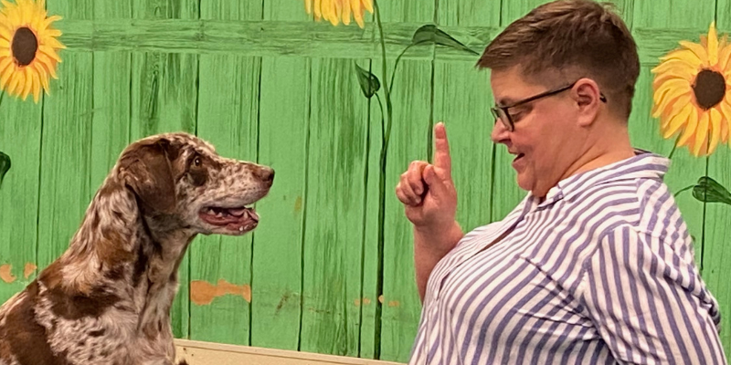 Laura Sharkey | Dog Trainer Arlington VA | WOOFS! Dog Training