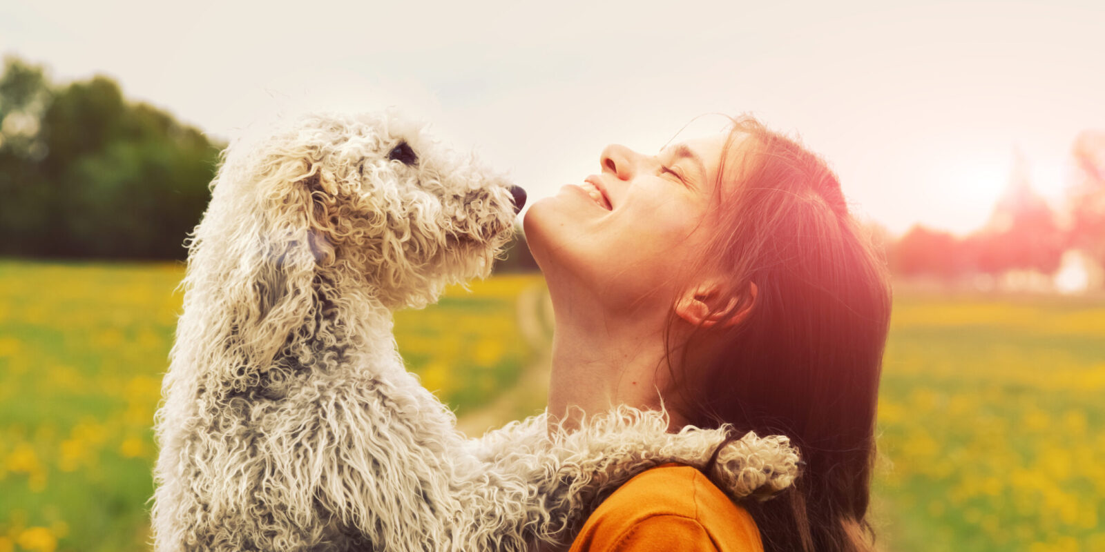 Dog Training & Behavior | Arlington VA | WOOFS! Dog Training